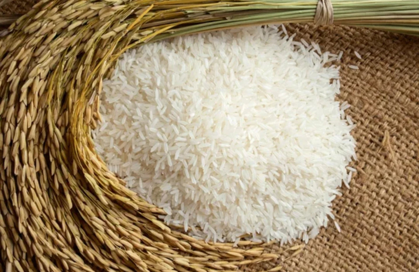 Natural Rice Series | CUTISH BEAUTY